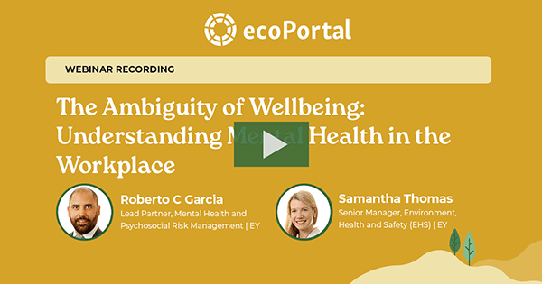 Women Leading Change: Redefining Health & Safety | ecoPortal Webinar ...